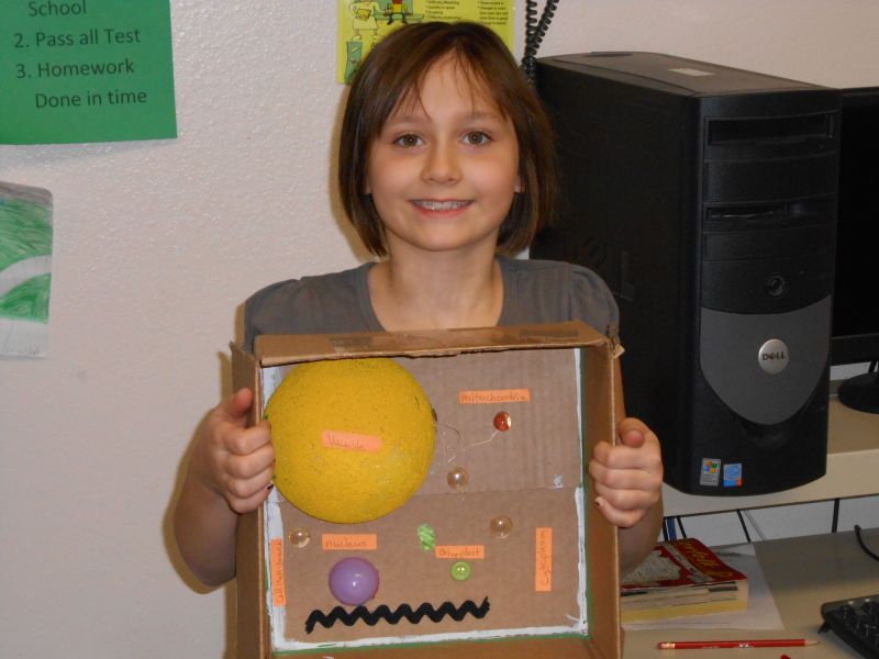 Elgin Public Schools - 4th Grade Cell Models