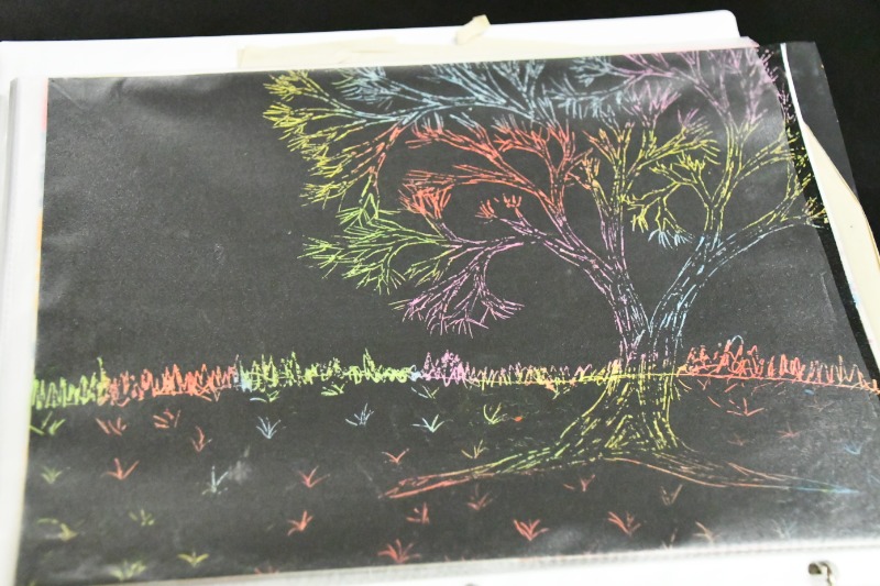 Elgin Public Schools - 2020 Scratchboard